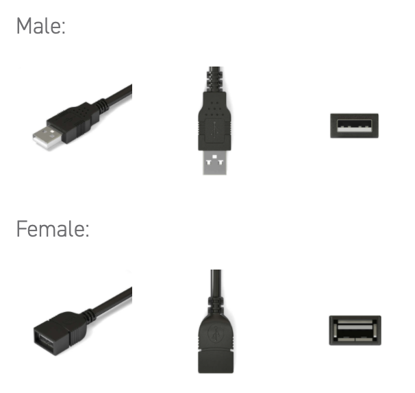 What is USB? - Petra Blog